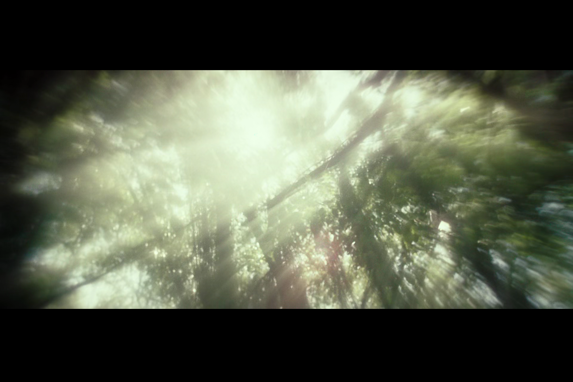 Joel Behrens - Visual Effects